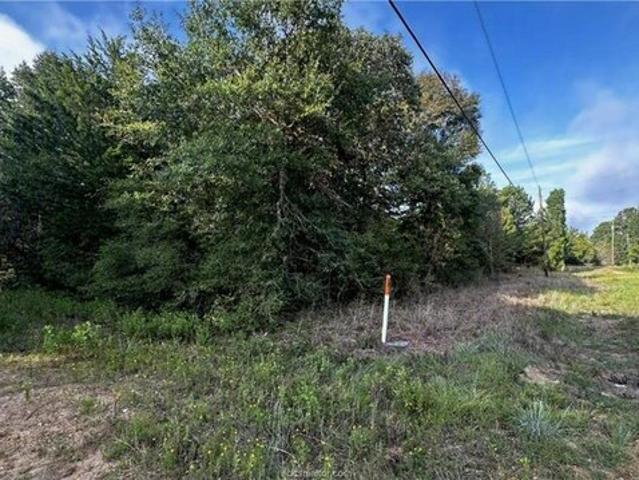 Overhill Cir, Hilltop Lakes, TX 77871