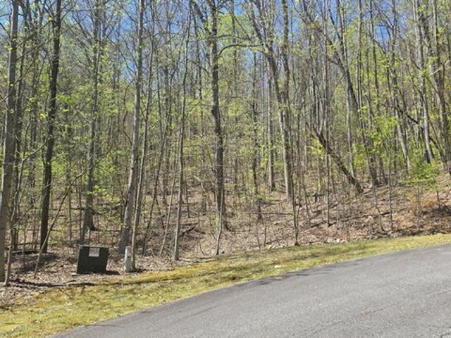 Overlook Loop Lot 18, Young Harris, GA 30582