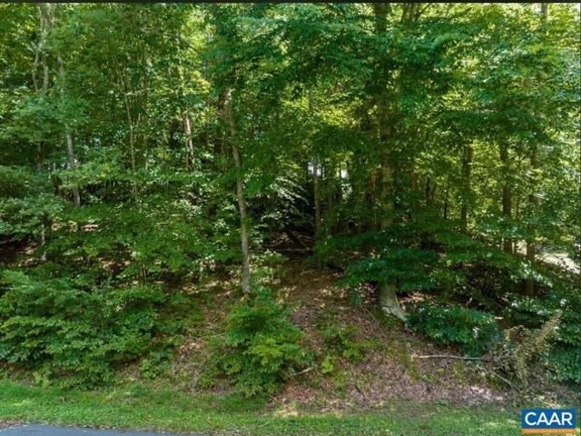 Overlook Cir, Palmyra, VA 22963