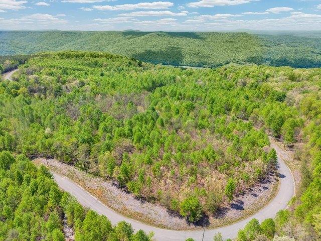 Overlook Dr, Spencer, TN 38585