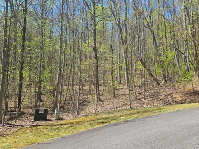 Overlook Loop Lot 18, Young Harris, GA 30582