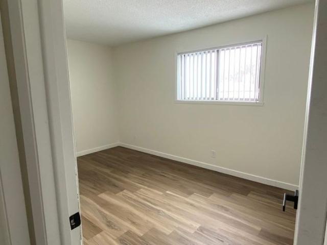 Overlook on 100 1 Bedroom Apartment for Rent at 2524 Highway 100 S, St. Louis Park, MN 55416 Birchwood