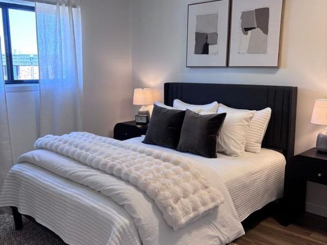 Overlook on 100 2 Bedroom Apartment for Rent at 2524 Highway 100 S, St. Louis Park, MN 55416 Birchwood
