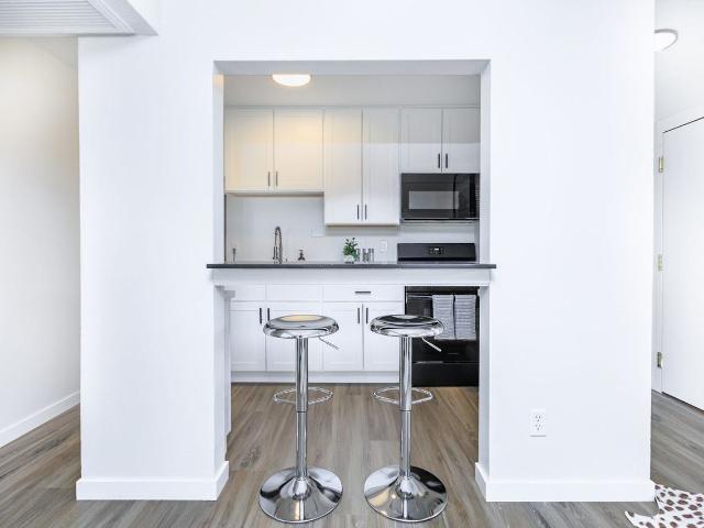 Overlook on 100 2 Bedroom Apartment for Rent at 2524 Highway 100 S, St. Louis Park, MN 55416 Birchwood