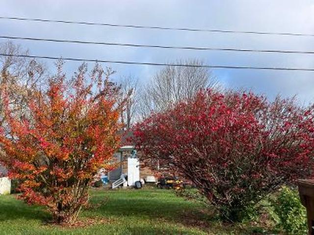 Overland Dr