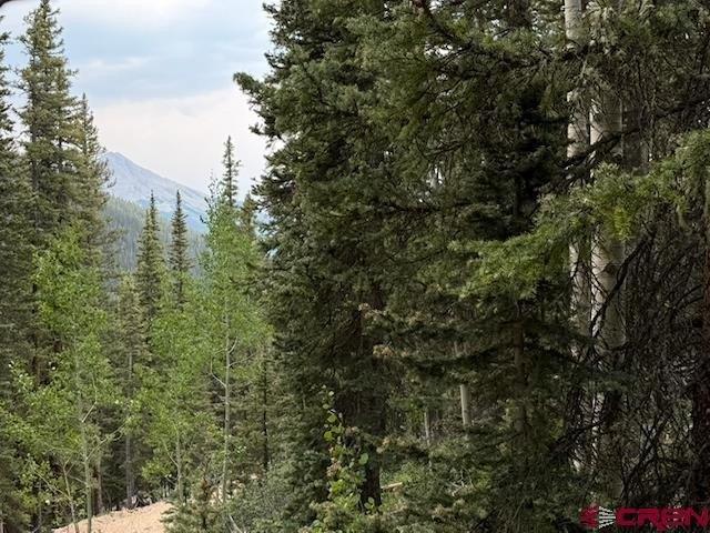 Overland Ests Lot 1, Silverton, CO 81433