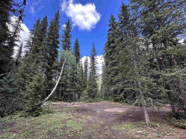Overland Ests Lot 2, Silverton, CO 81433