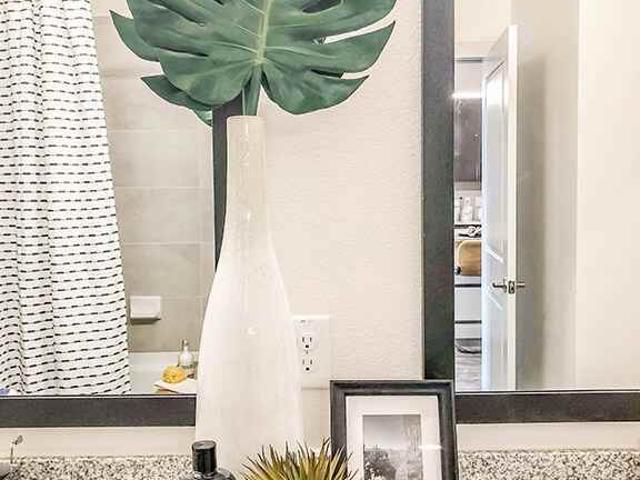 Oxly at The Merc 1 Bedroom Apartment for Rent at 5810 Utsa Blvd, San Antonio, TX 78249
