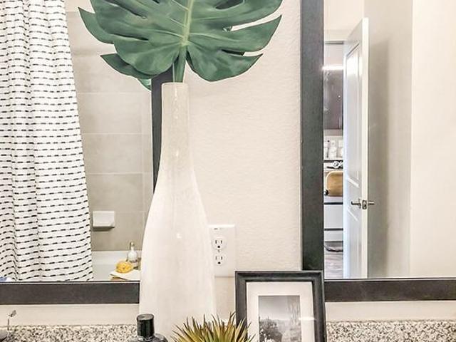 Oxly at The Merc 1 Bedroom Apartment for Rent at 5810 Utsa Blvd, San Antonio, TX 78249