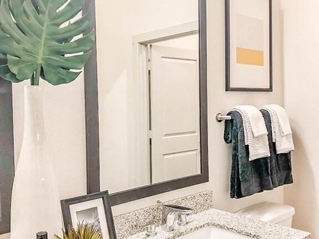 Oxly at The Merc 1 Bedroom Apartment for Rent at 5810 Utsa Blvd, San Antonio, TX 78249