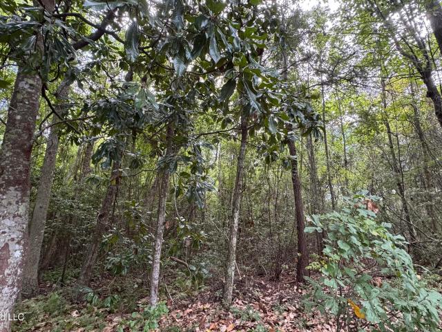 Oyster Shell lot 24 Avenue, Ocean Springs, MS 39564
