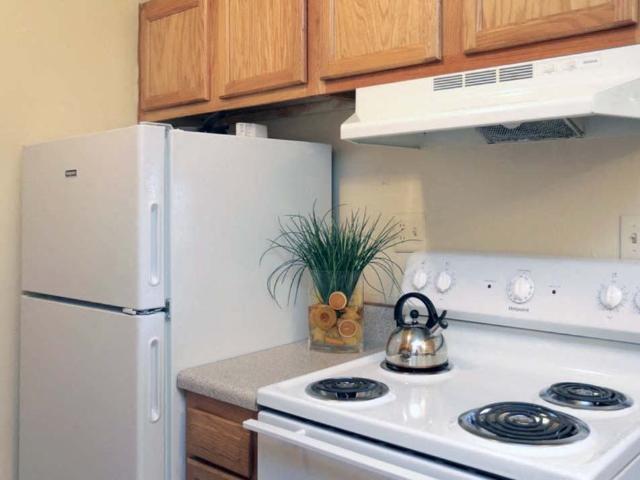Oyster Point Place 1 Bedroom Apartment for Rent at 102 Americana Dr, Newport News, VA 23606 Watkins