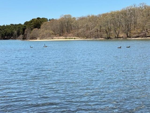 Oyster Pond Rd, Edgartown, Home For Sale