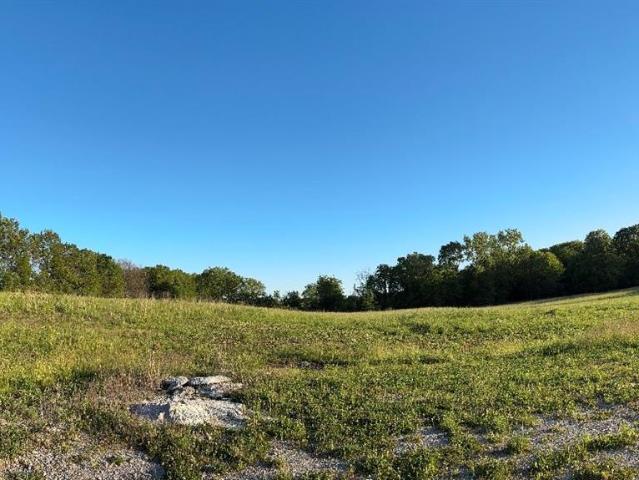 Ozark Lane