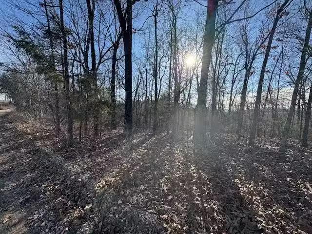 p OLEY TRAIL, OMAHA, AR 72662 Vacant Land For Sale MLS# 1298237