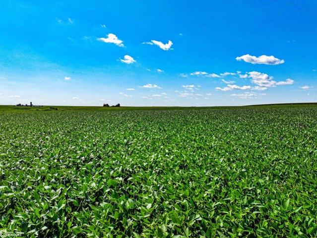 P Ave, Maynard, IA 50655
