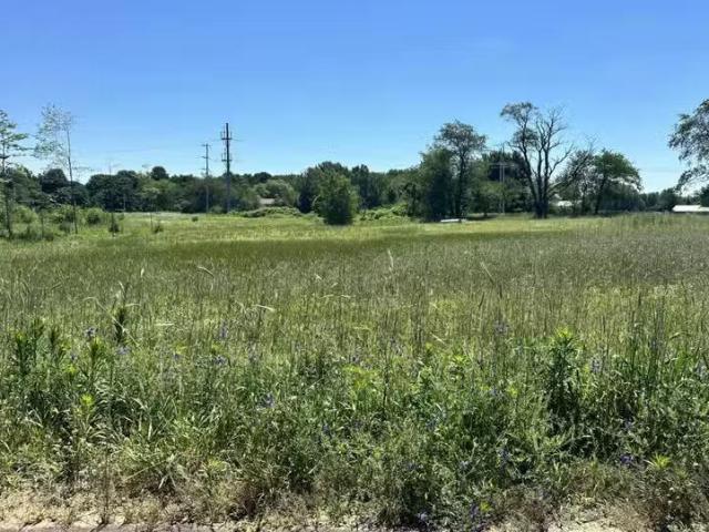 p ARCEL 1 FILLMORE ST, ALLENDALE, MI 49401 Vacant Land For Sal.