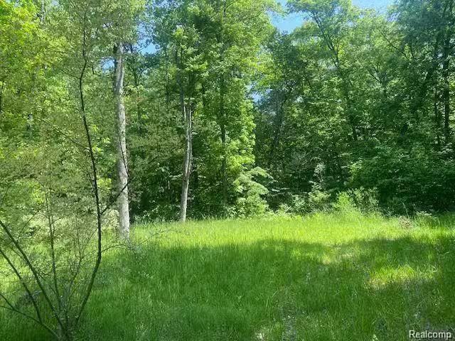 p ARCEL 2 & 4 DEADWOOD LANE, BRIGHTON, MI 48114 Vacant Land Fo.