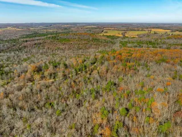 p ETER MARTIN HILL RD, CAVE CITY, AR 72521