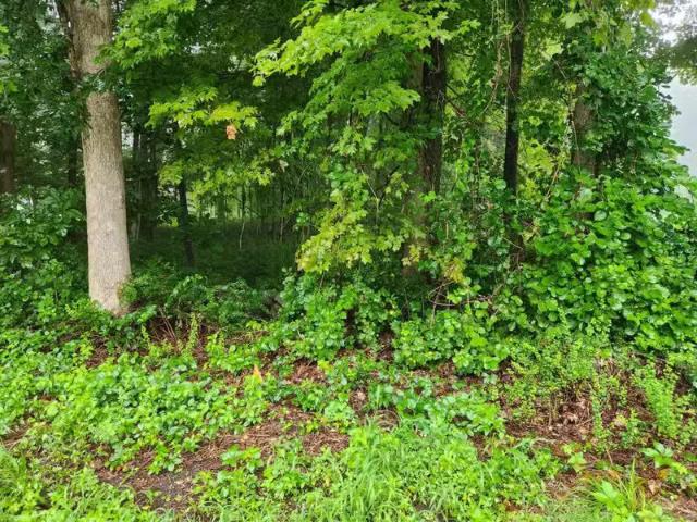 p LEASURE HILL ROAD, FRANKLIN, CT 06254 Vacant Land For Sale.