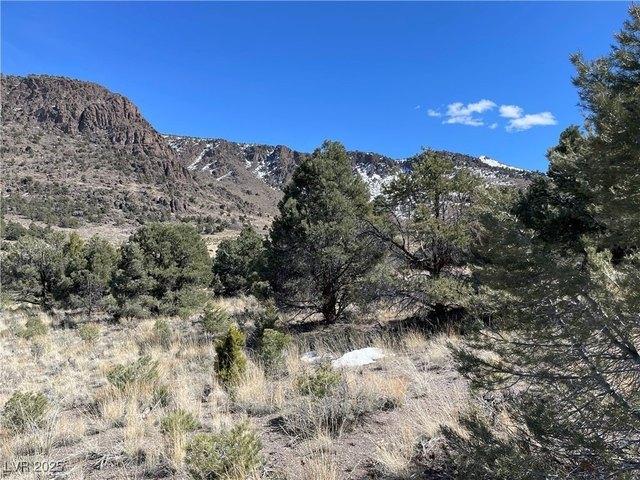 P 16 Butte Vly, Ely, NV 89301
