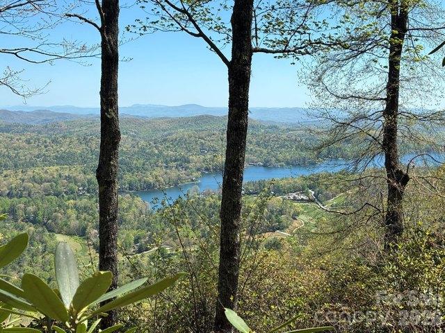 P 2 L020rv Toxaway Clf Unit 20, Lake Toxaway, NC 28747