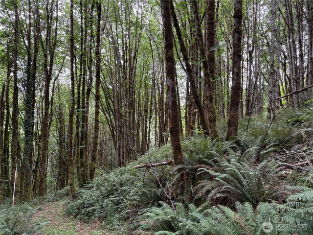 P#61828 Brussat Rd, Kelso, WA 98626 | MLS #2423