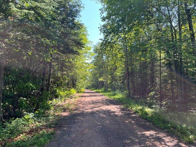 Pcl 3 McCutcheon Rd, Bayfield, WI 54814