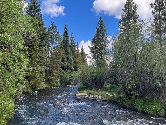 Pcr 19 Lot 5, Alma, CO 80420