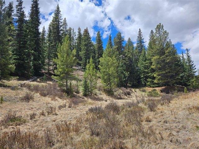 Pcs10594 Looney Ln Lot 0, Alma, CO 80420