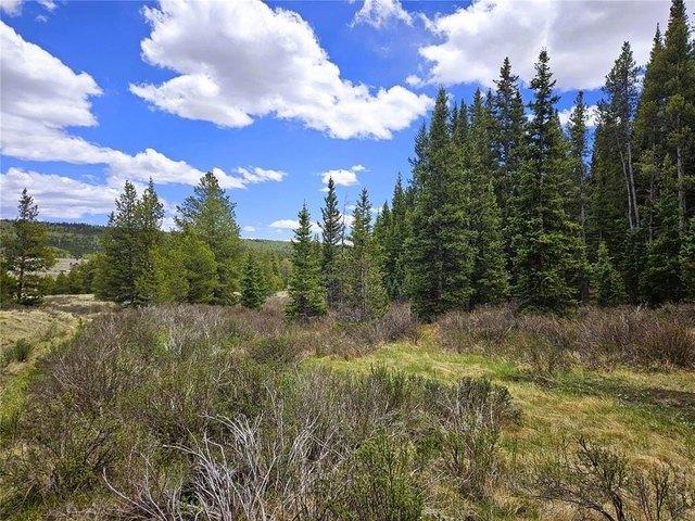 Pcs10594 Looney Ln Lot 0, Alma, CO 80420