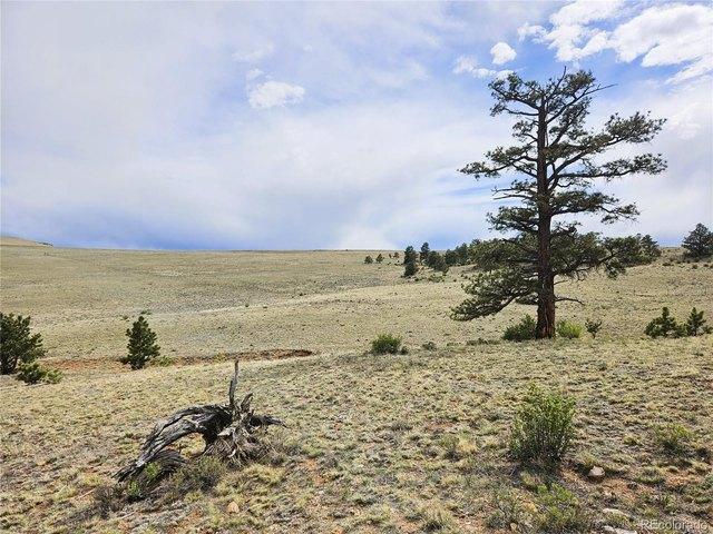 Pcs Chato Rd # 24131, Hartsel, CO 80449