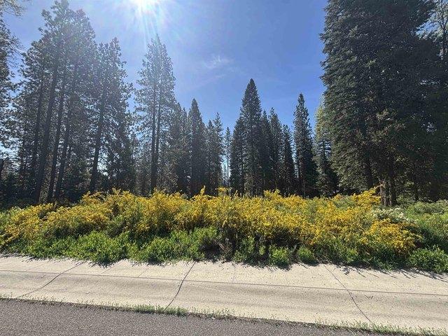 Panther Mdw Lot 37, McCloud, CA 96057