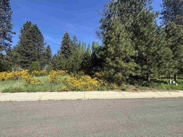 Panther Mdw Lot 38, McCloud, CA 96057
