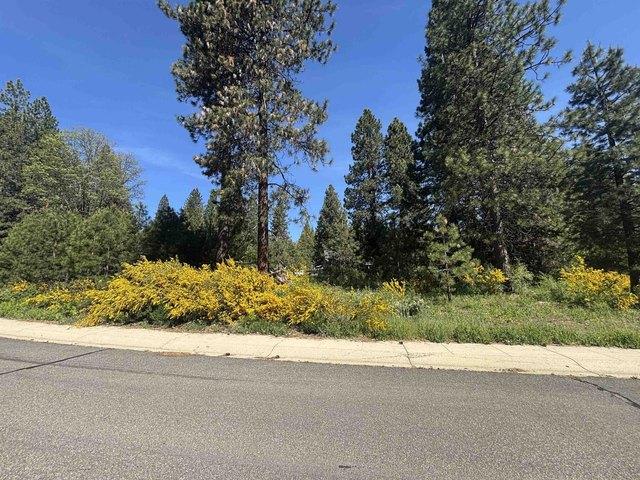 Panther Mdw Lot 39, McCloud, CA 96057