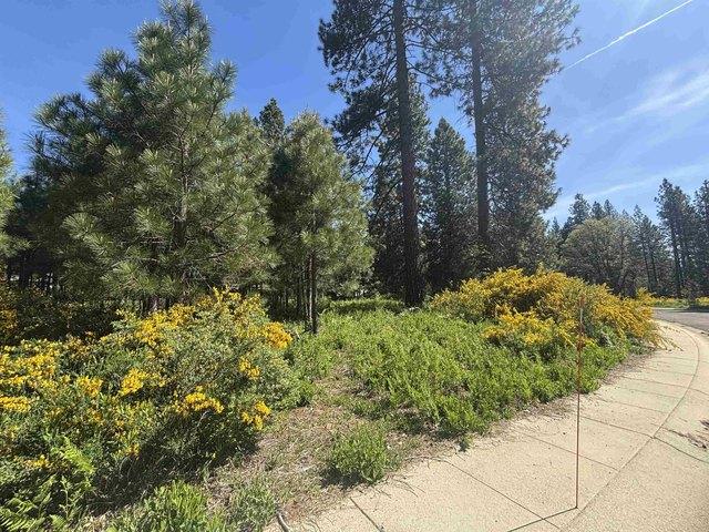 Panther Mdw Lot 40, McCloud, CA 96057