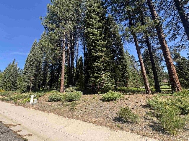Panther Mdw Lot 42, McCloud, CA 96057