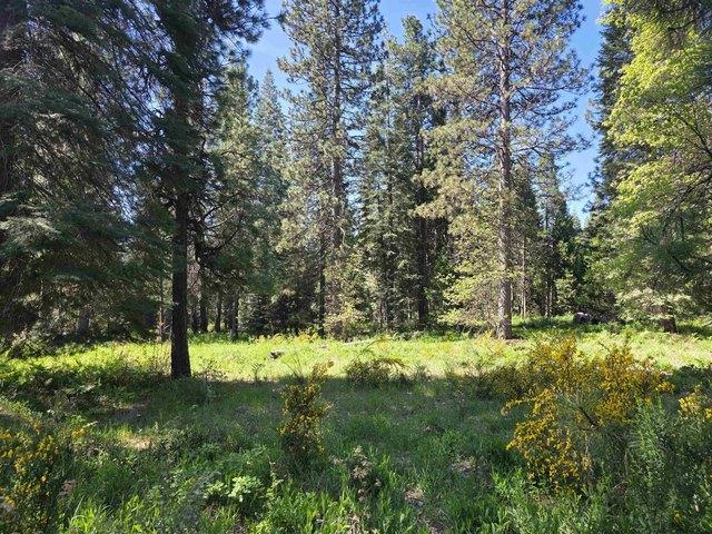 Panther Mdw Lot 76, McCloud, CA 96057