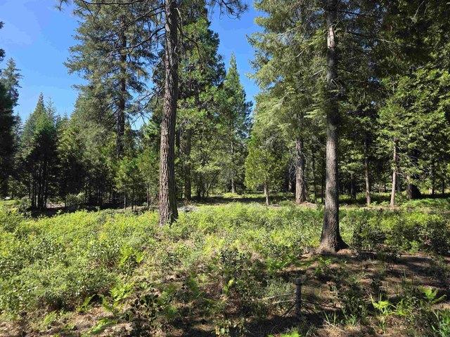 Panther Mdw Lot 81, McCloud, CA 96057