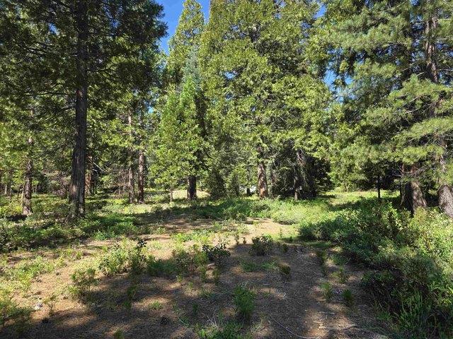 Panther Mdw Lot 82, McCloud, CA 96057