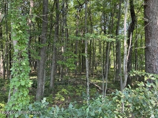 Panther Run Rd and Robertson, Jim Thorpe, PA 18229