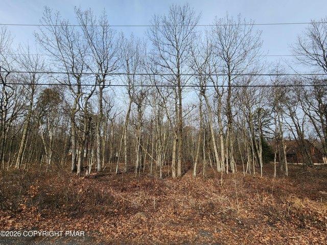 Panther Run Rd Lot D419, Jim Thorpe, PA 18229