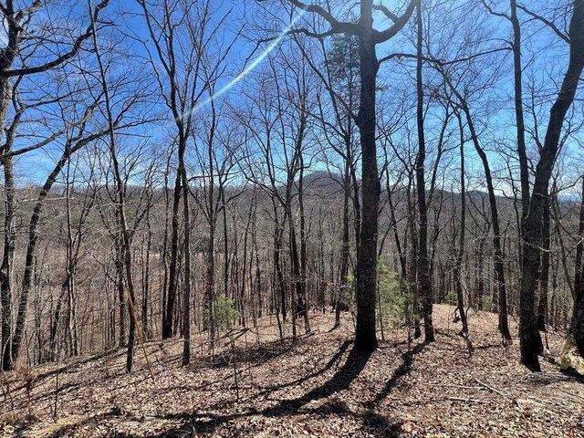 Panorama Dr Wolf Mountain Ests Lot 17, Murphy, NC 28906