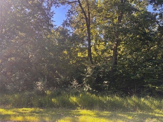Panorama Rd, Panora, IA 50216