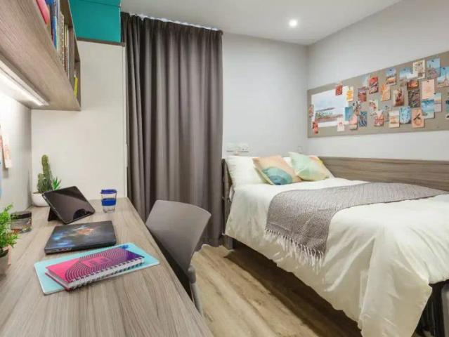 Panorama Studio