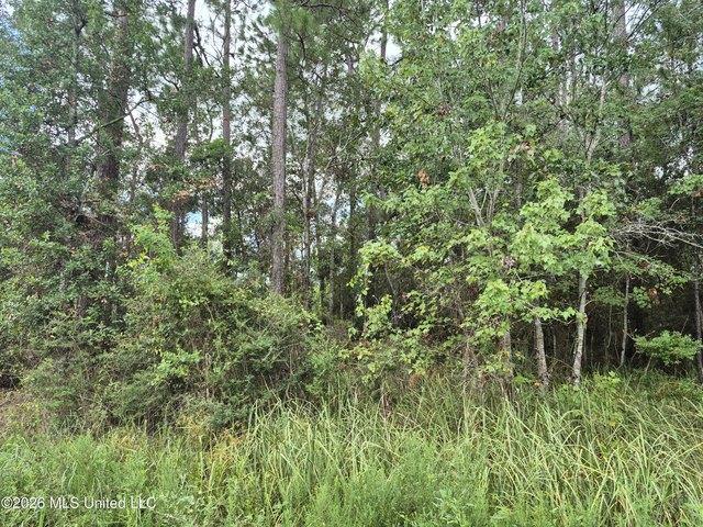 Pacific St Lot 19, Bay Saint Louis, MS 39520