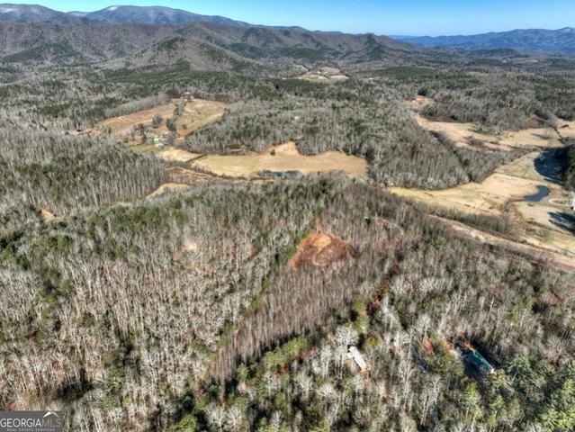 Pack Creek Rd Lots 131 & 132, Blue Ridge, GA 30513