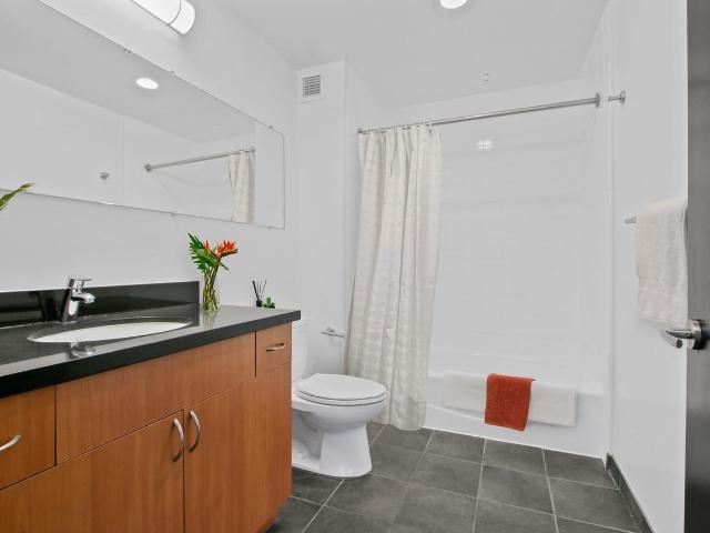 Packard Lofts Studio Apartment for Rent at 1000 S Hope St, Los Angeles, CA 90015 Downtown Los Angeles