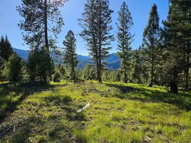 Packer Gulch Rd, Drummond, Home For Sale