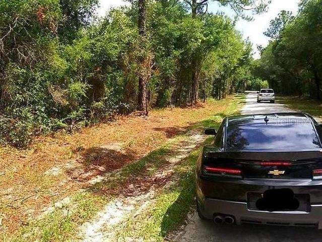 Packingham Dr, Webster, FL 33597